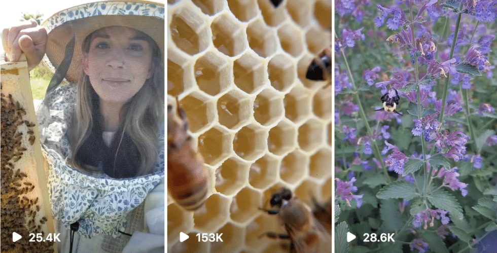 9 Best US Eco friendly Influencers to follow for World Environment Day ...